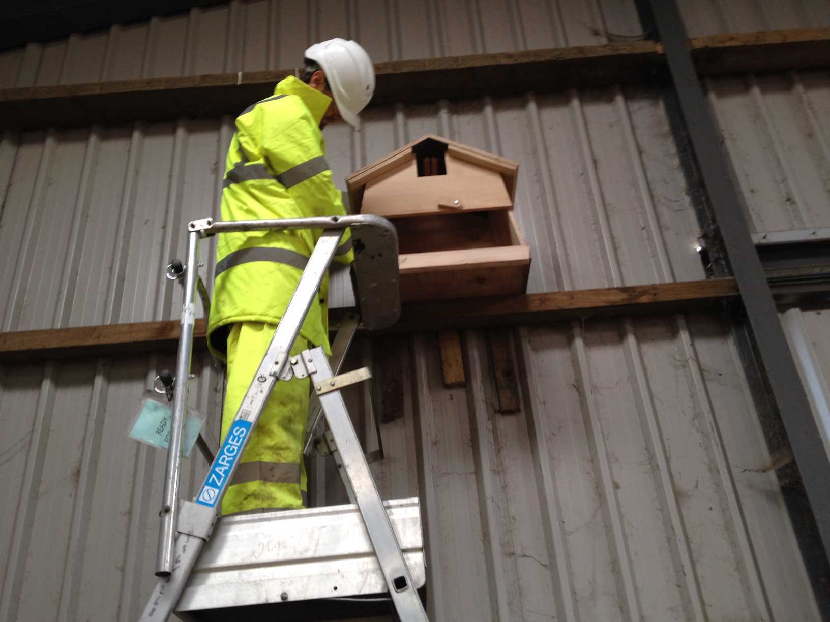 Ecological Mitigation - EcoNorth