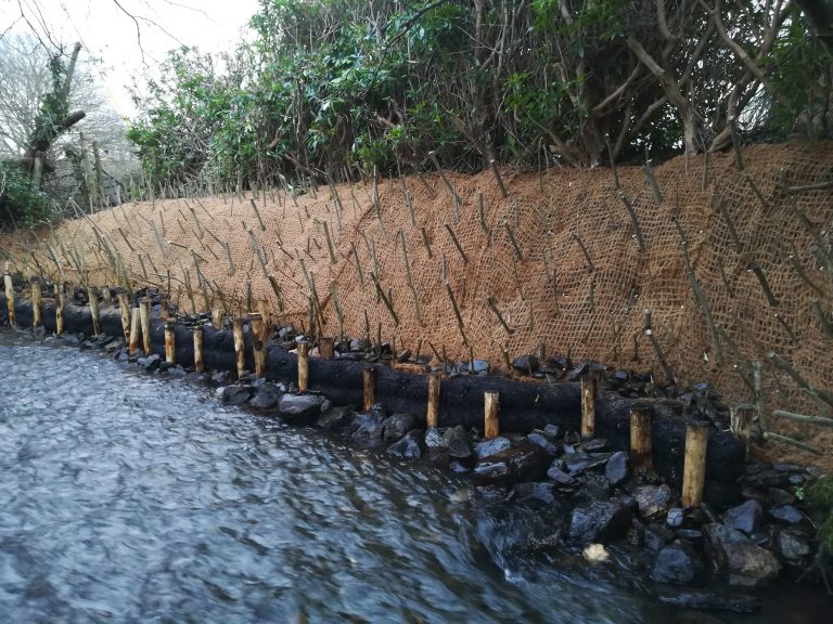 river bank stabilisation thomas wilson and angus walker of EcoNorth Ltd